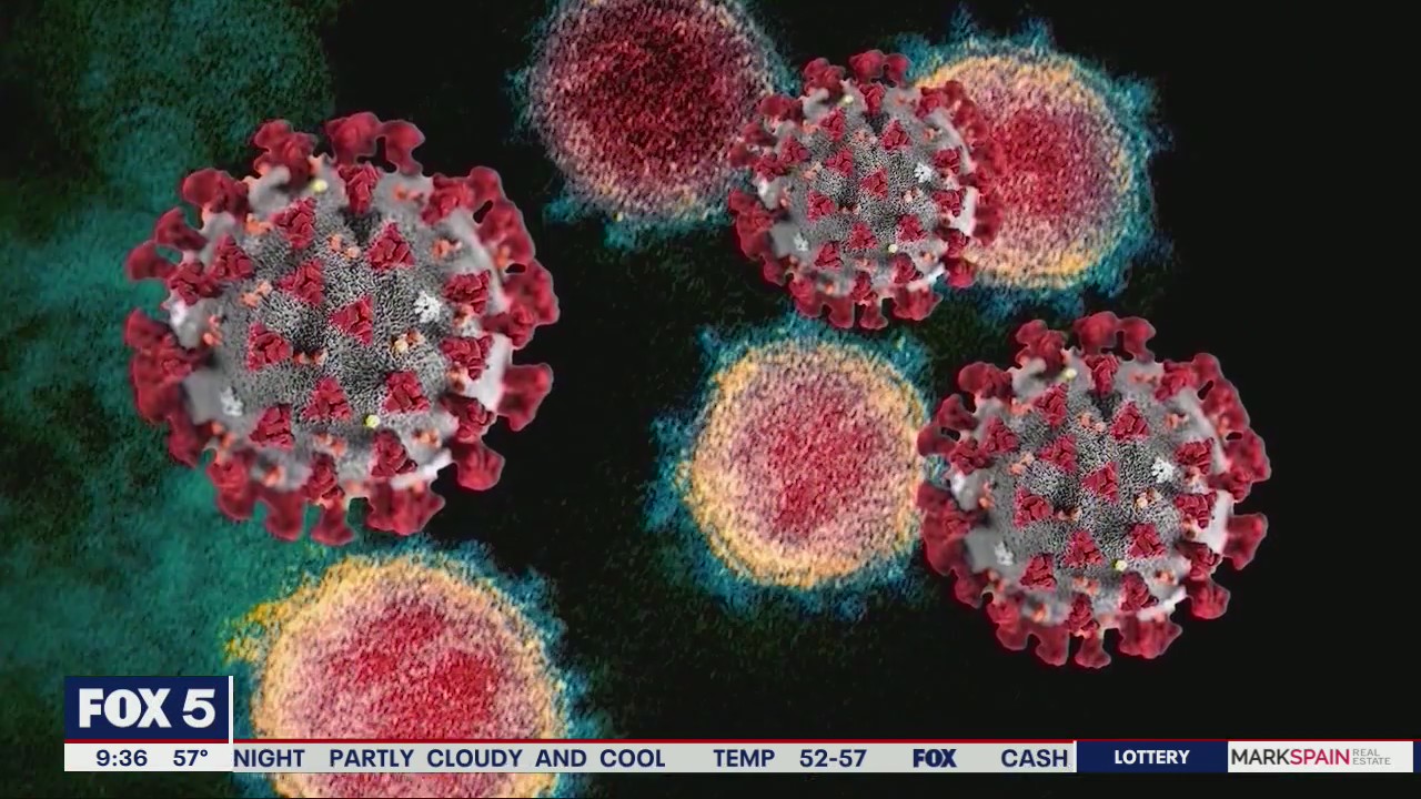 Dr. Neil Winawer shares news on new COVID variant | FOX 5 Atlanta